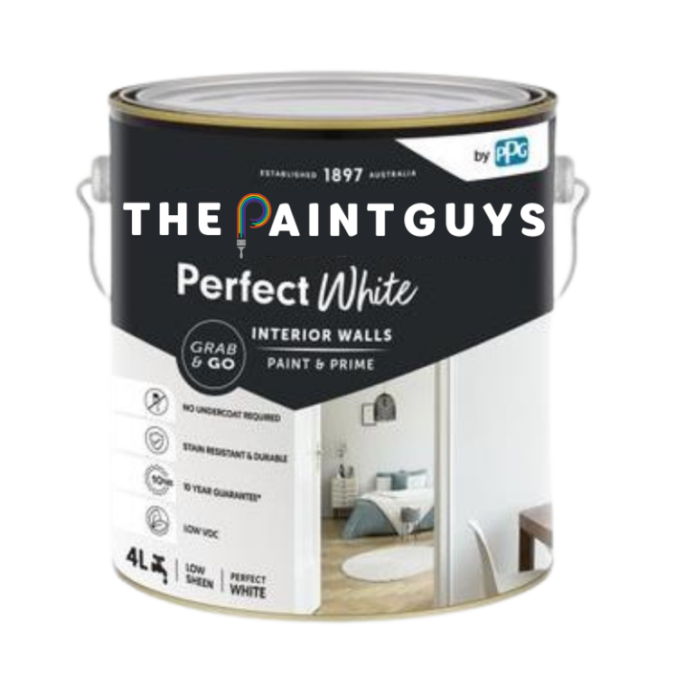 Shop – Paint Guys